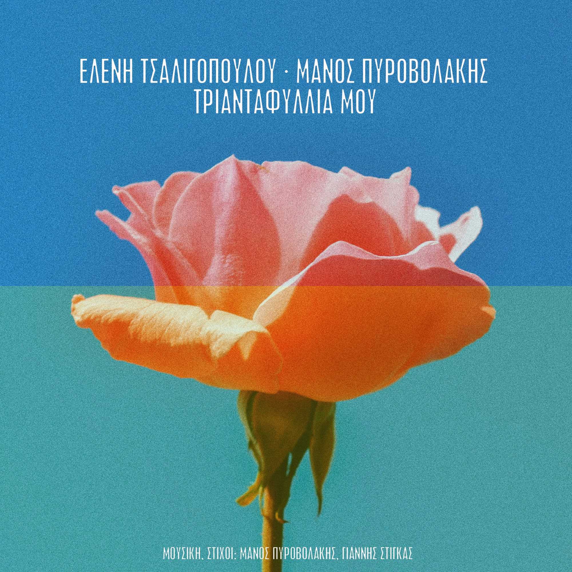 Ελένη Τσαλιγοπούλου & Μάνος Πυροβολάκης “Τριανταφυλλιά μου” - Άνοιξη ...